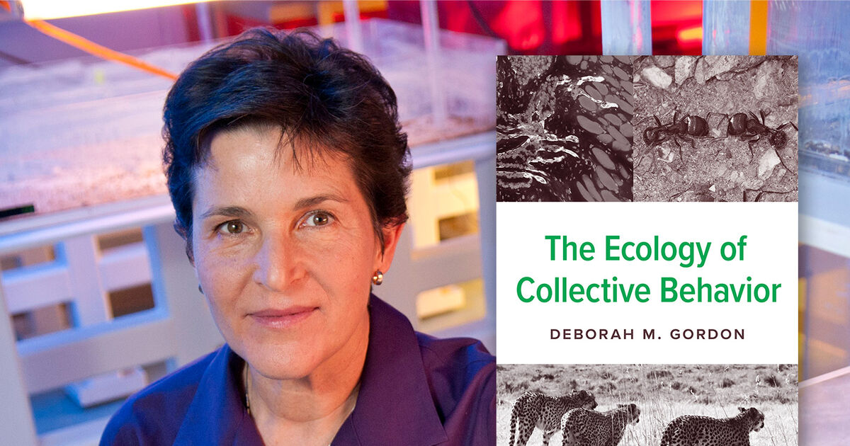 The Ecology of Collective Behavior by Deborah M. Gordon, Biology ...