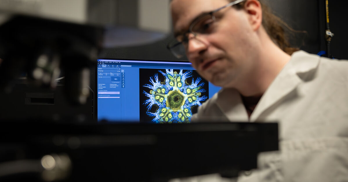 High-tech imaging center opens at Hopkins Marine Station | Stanford ...